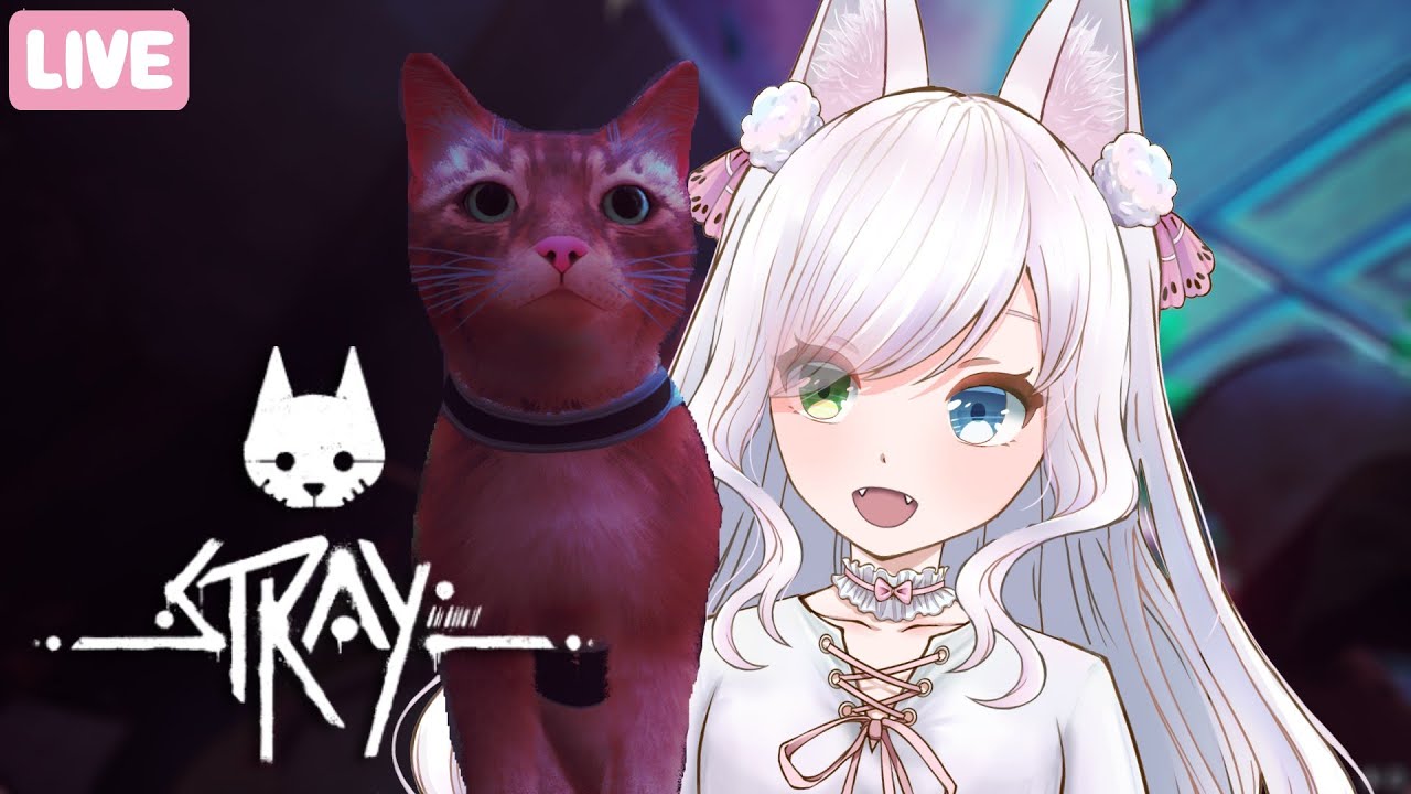 [LIVE] Stray fox go meow [Vtuber Stray Stream] - YouTube