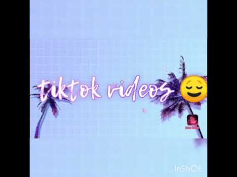 my tiktok videos