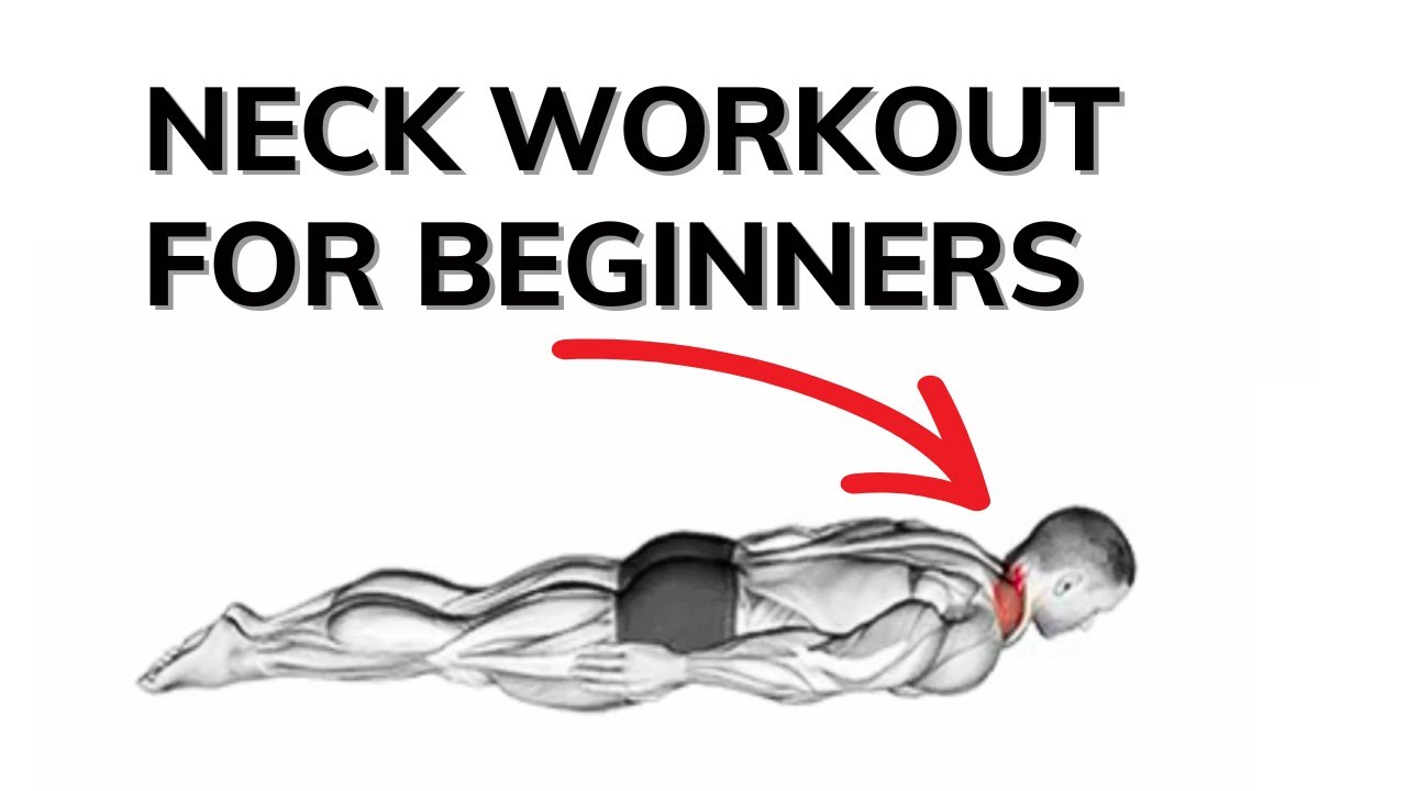 NECK WORKOUT FOR BEGINNERS - NO EQUIPMENT NEEDED - YouTube