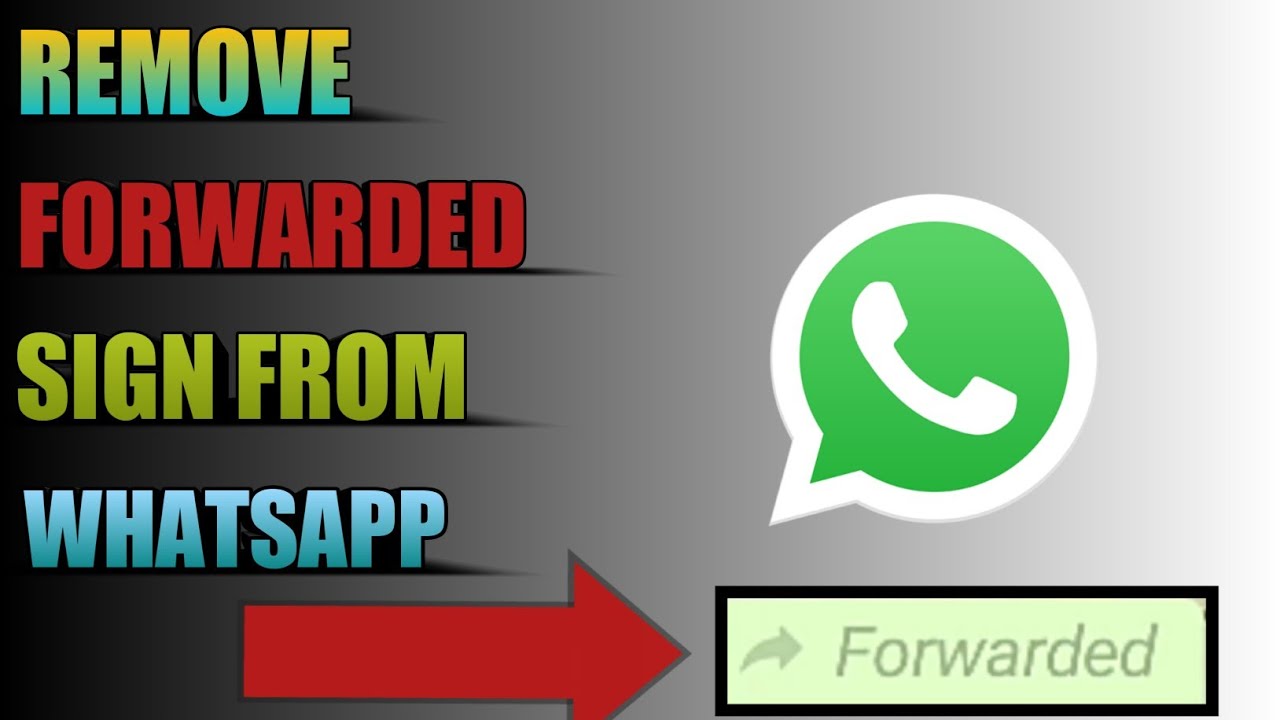 Remove the forwarded sign from whatsapp || how to remove the forwarded ...