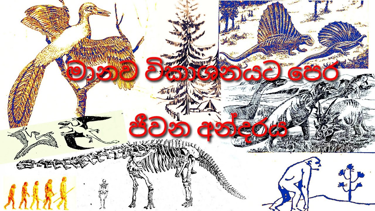 ජීවන චාරිකාවේ පියසටහන් මානව ආගමනය දක්වාJewana charikawe piyasatahan ...