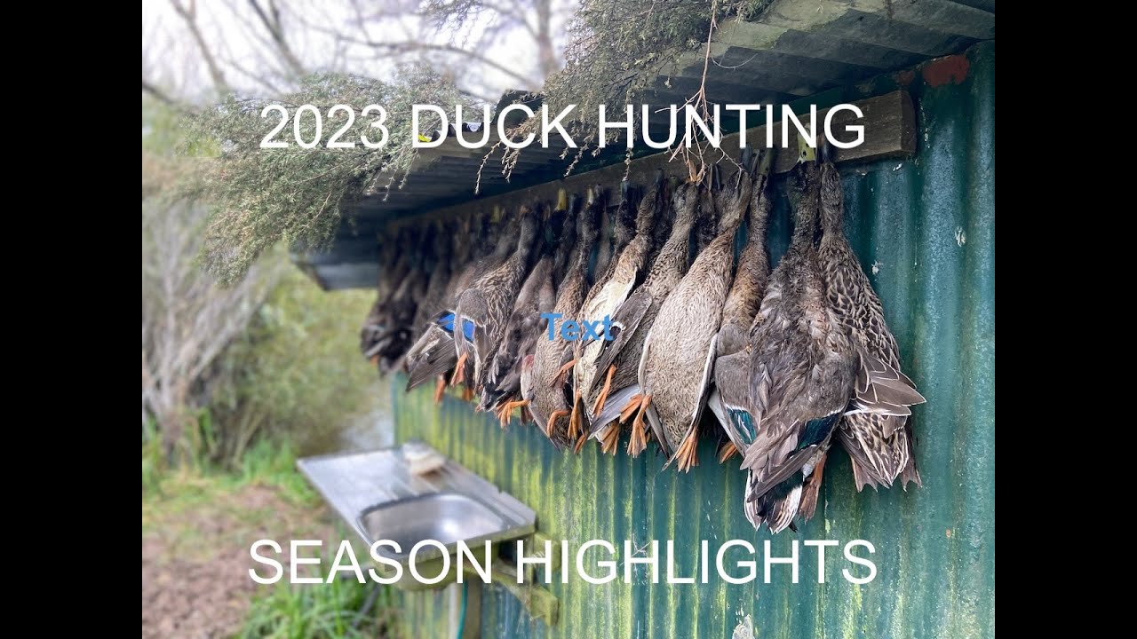 2023 Duck Hunting Season Highlights - YouTube