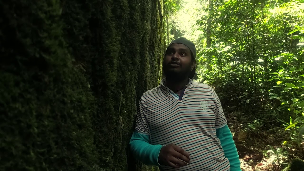 Travel to Batadomba Cave 2020...බටදොඹලෙන සොයා සංචාරය - YouTube
