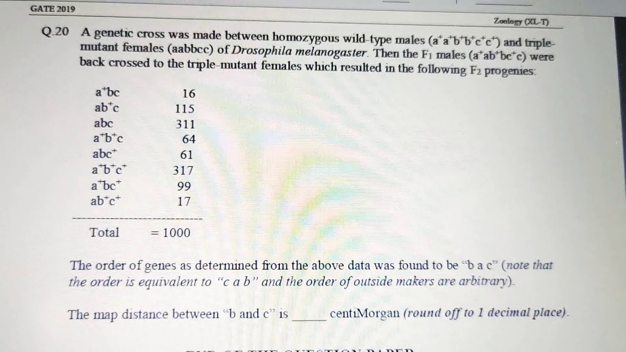 Order of gene, distance calculation in double cross - YouTube