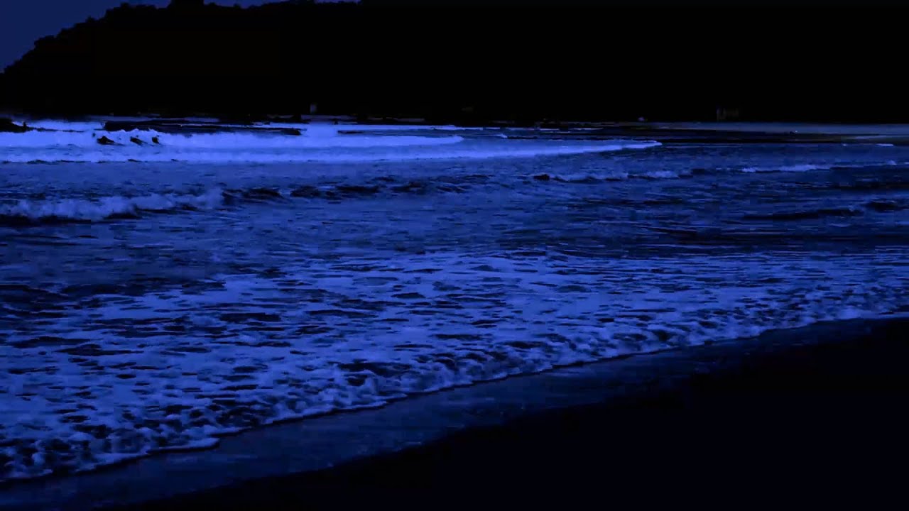 Sleep immediately with the sound of waves and strong wind at night ...