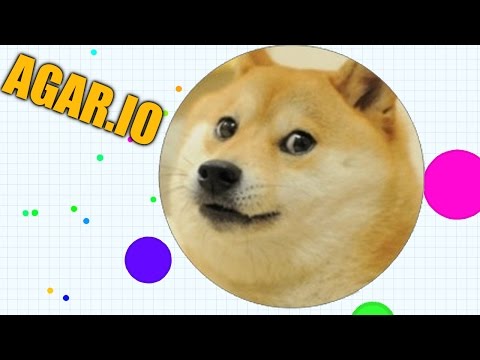 Doge meme | Page 17 | GTPlanet