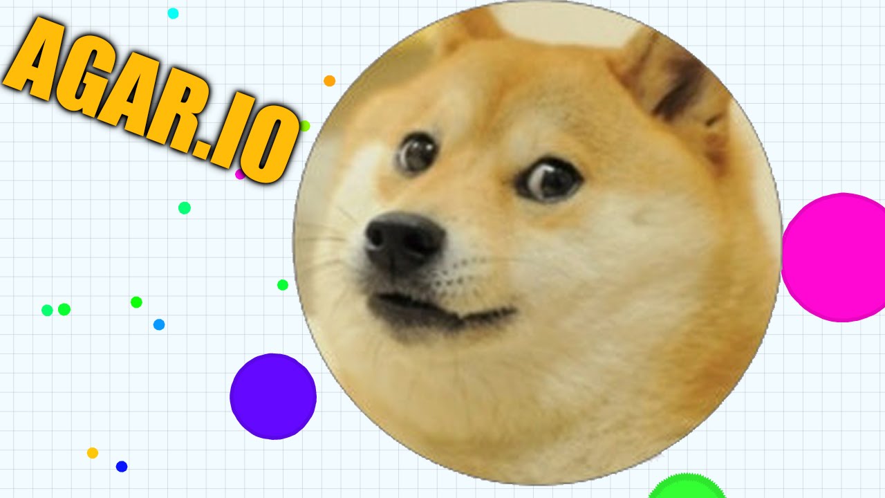 AGARIO THE RISE OF DOGE - VERY MISTAKE MUCH FAIL! (Agar.io) - YouTube