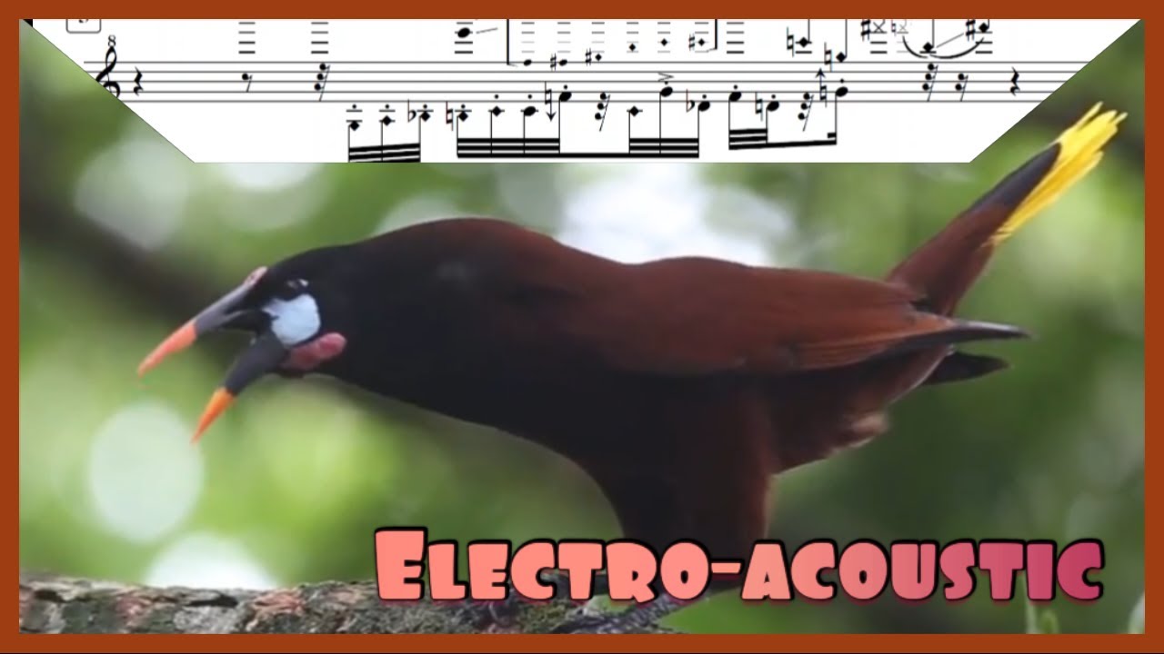 Montezuma Oropendola: Vocalization in Sheet Music - YouTube