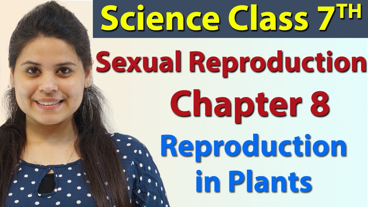 Sexual Reproduction - Chapter 8 - Reproduction in Plants - Science ...