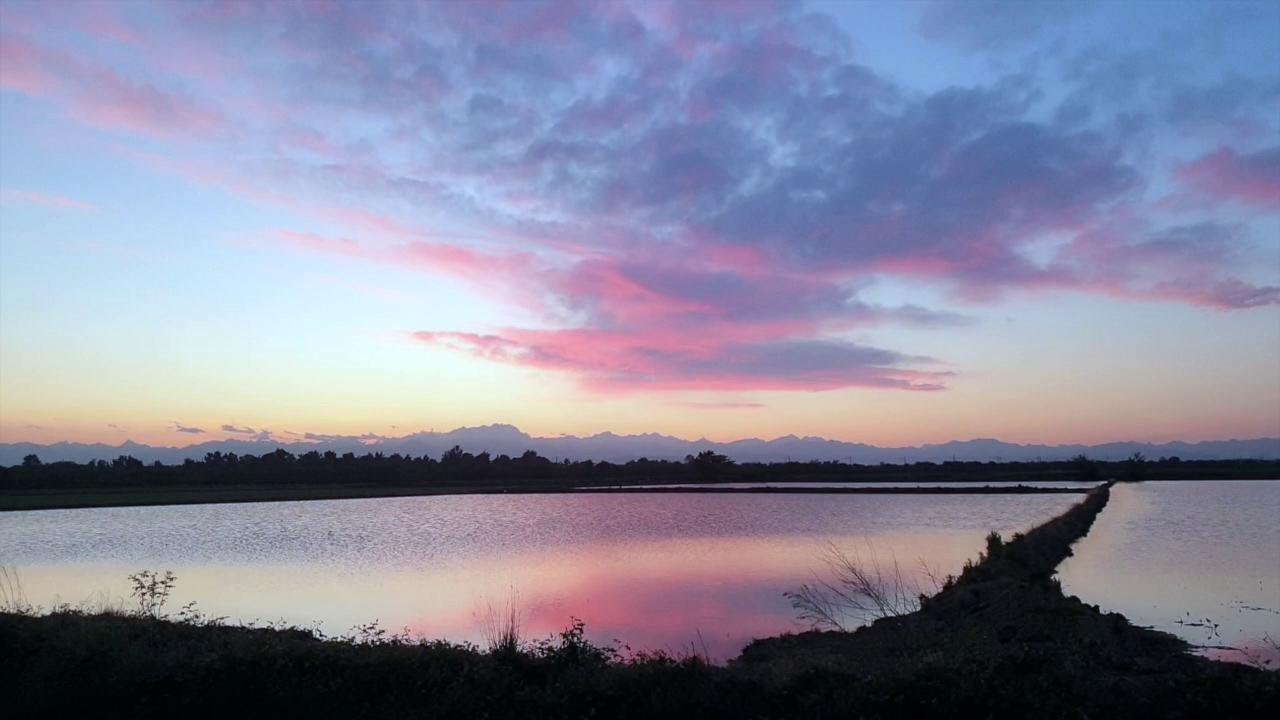 Il Monte Rosa si specchia nelle risaie del Novarese al tramonto - YouTube