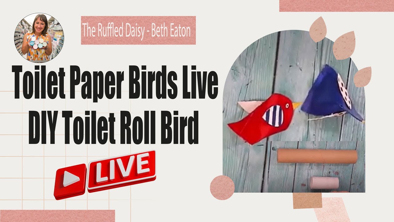 Toilet Paper Birds Live | How to make with craft toilet roll paper ...