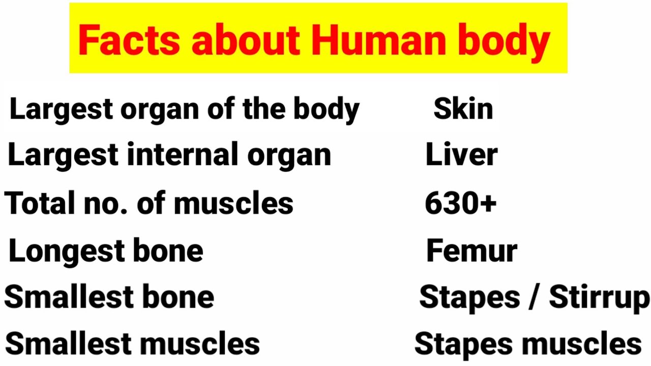 Facts about Human body || Normal perimeter of healthy human body. 💯 ...