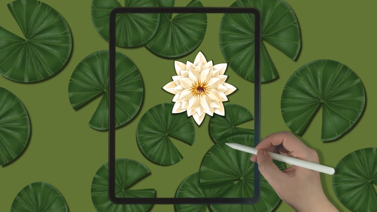 Beautiful White Water Lily Flower iPad Procreate Drawing - Digital ...