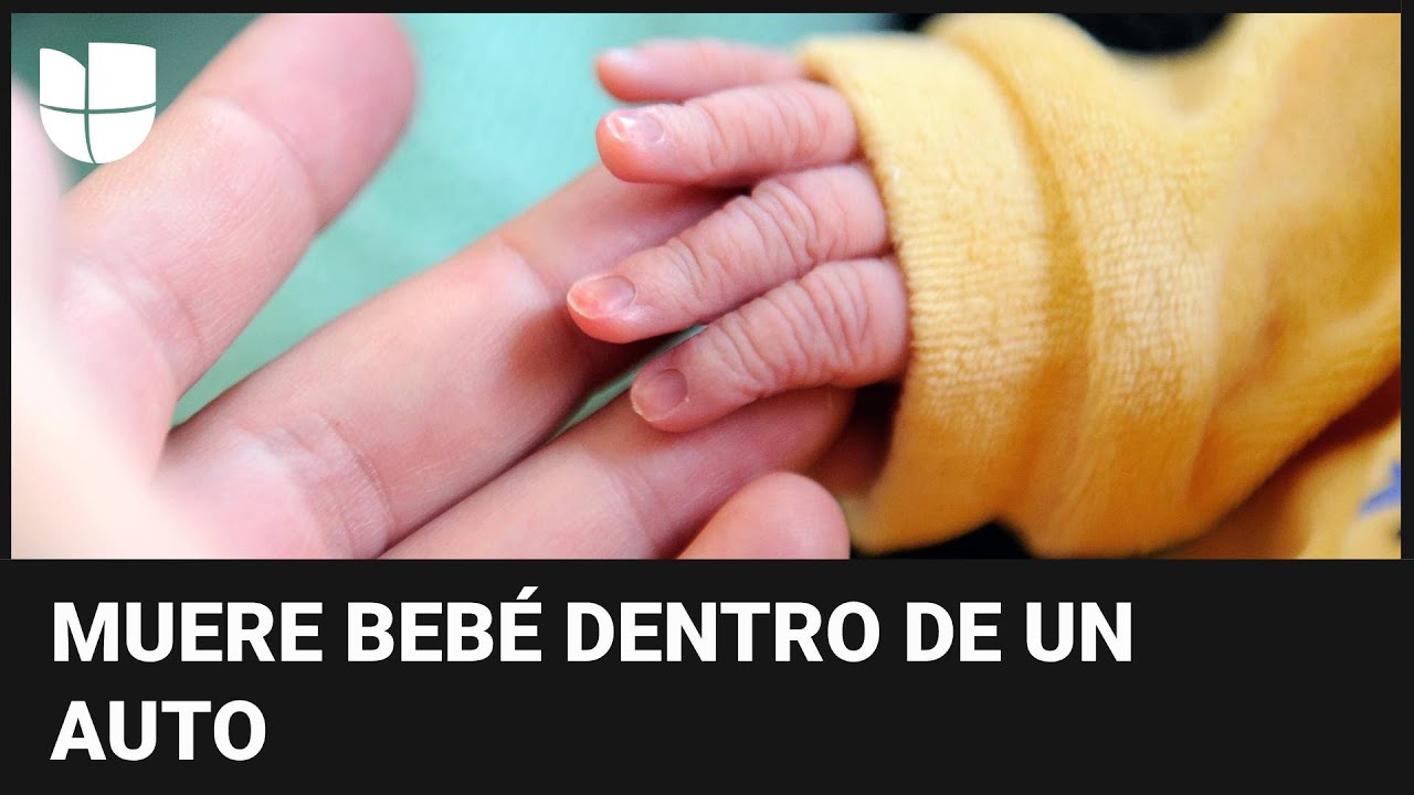 Encuentran a un bebé muerto dentro de un automóvil en Florida - YouTube