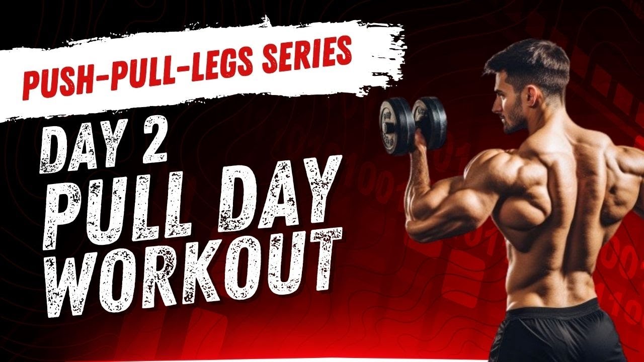 Ultimate 6-Day PPL Workout - Day 2 Pull Day (Back and Biceps) Animated ...