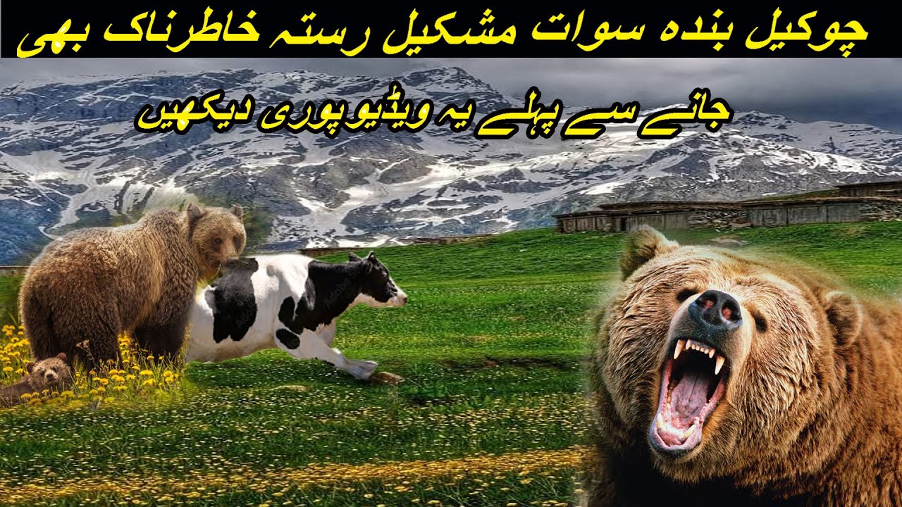 chukail Banda swat/Chukail Banda Mankyal valley swat/ kalam valley swat ...