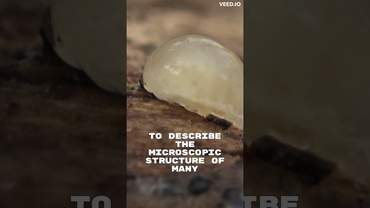 How a 17th Century Scientist's Invention 350 Years Ago Revolutionized ...