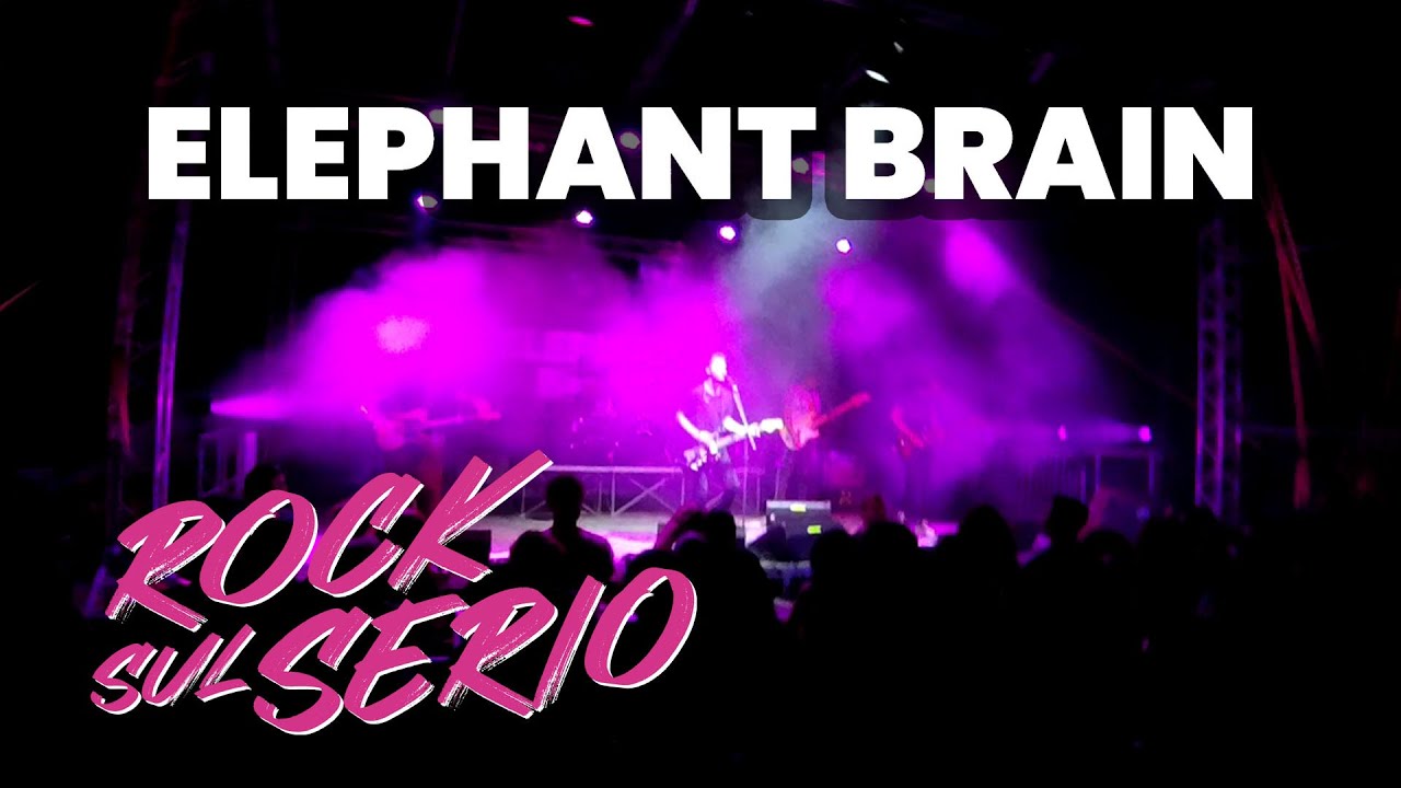 ELEPHANT BRAIN - Weekend [LIVE @Rock sul Serio (BG)]_22.07.2023 - YouTube