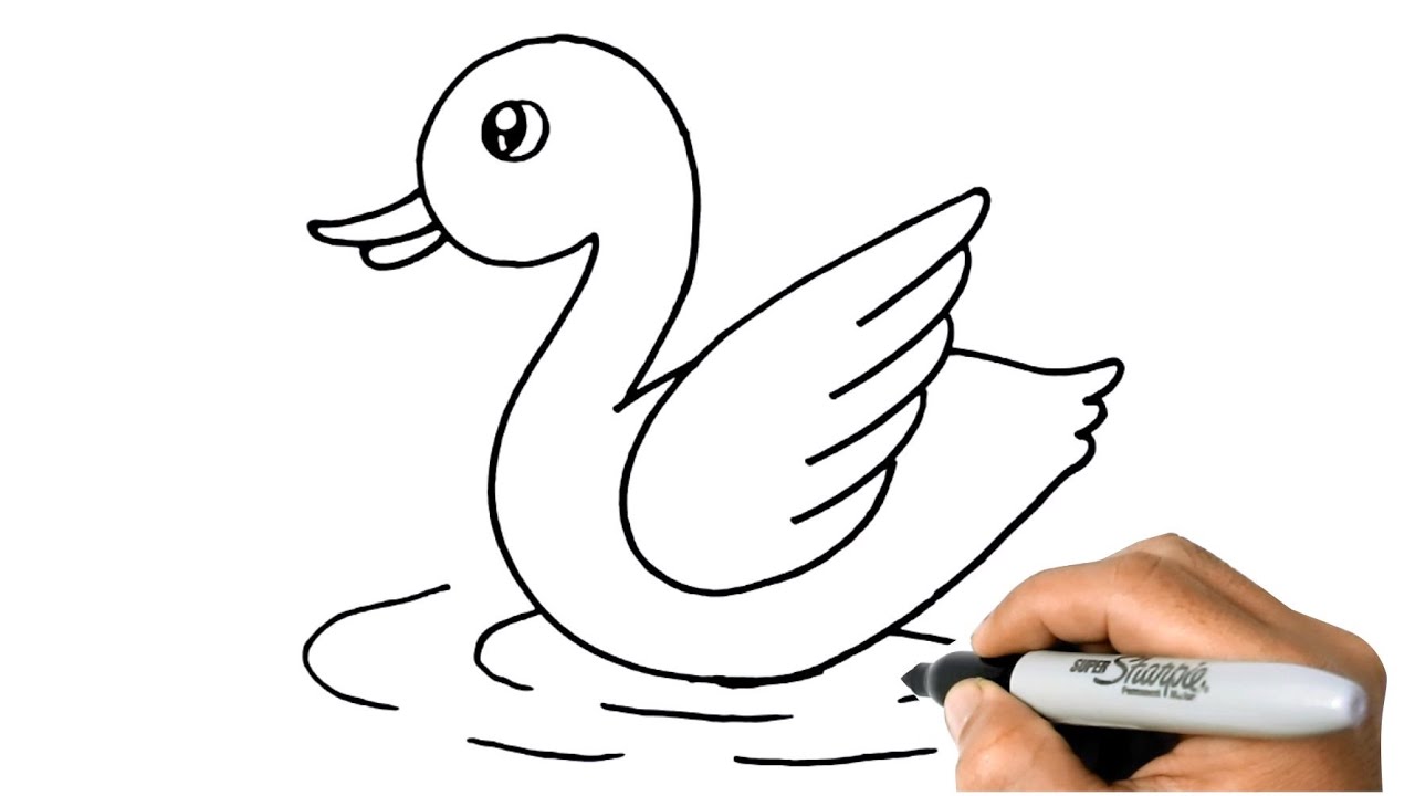 How To Draw A Swan For Kids Step By Step Animals For Page Shows How To