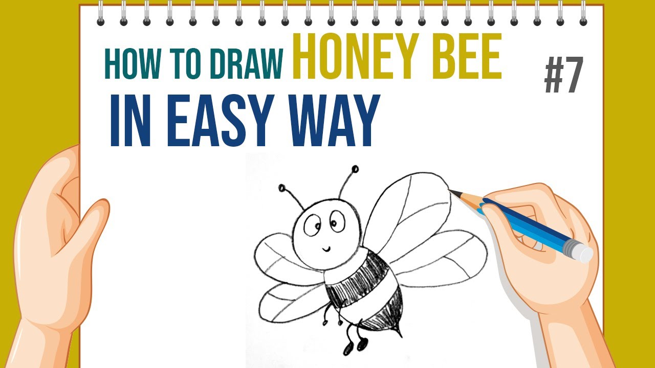 How to Draw Honey Bee in "Easy Way". Pencil Drawing | Kids Drawing ...