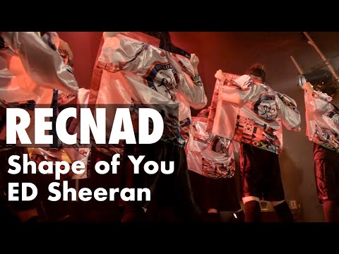 【LIVE】RECNAD / Shape of You (箏/Koto cover) - Ed Sheeran - TRiECHOES feat. DJ SHOTA