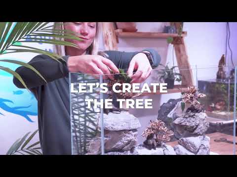 Making Bonsai Trees from RARE ALGAE