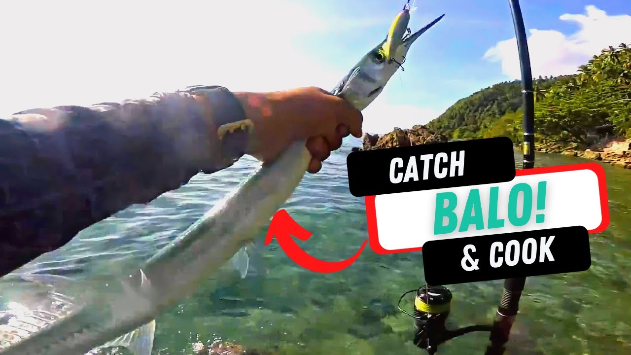 Samal Island Fishing. Catch and Cook! - YouTube