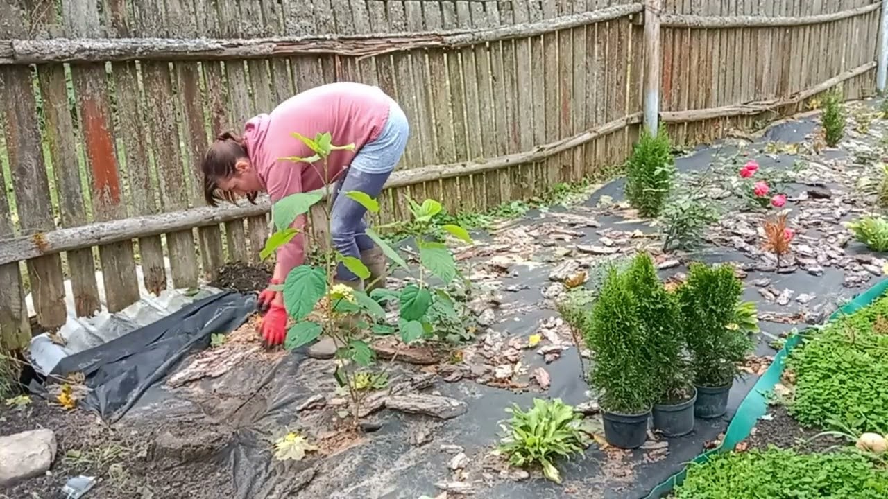 Купили дом в деревне Занимаемся стеной на кухне а там Youtube