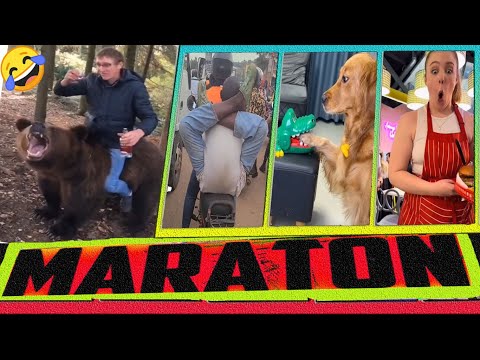 HUMOR VIDEOS Y VIRALES TODOS 2022 🚨🔥👍👍👍👍👍👍