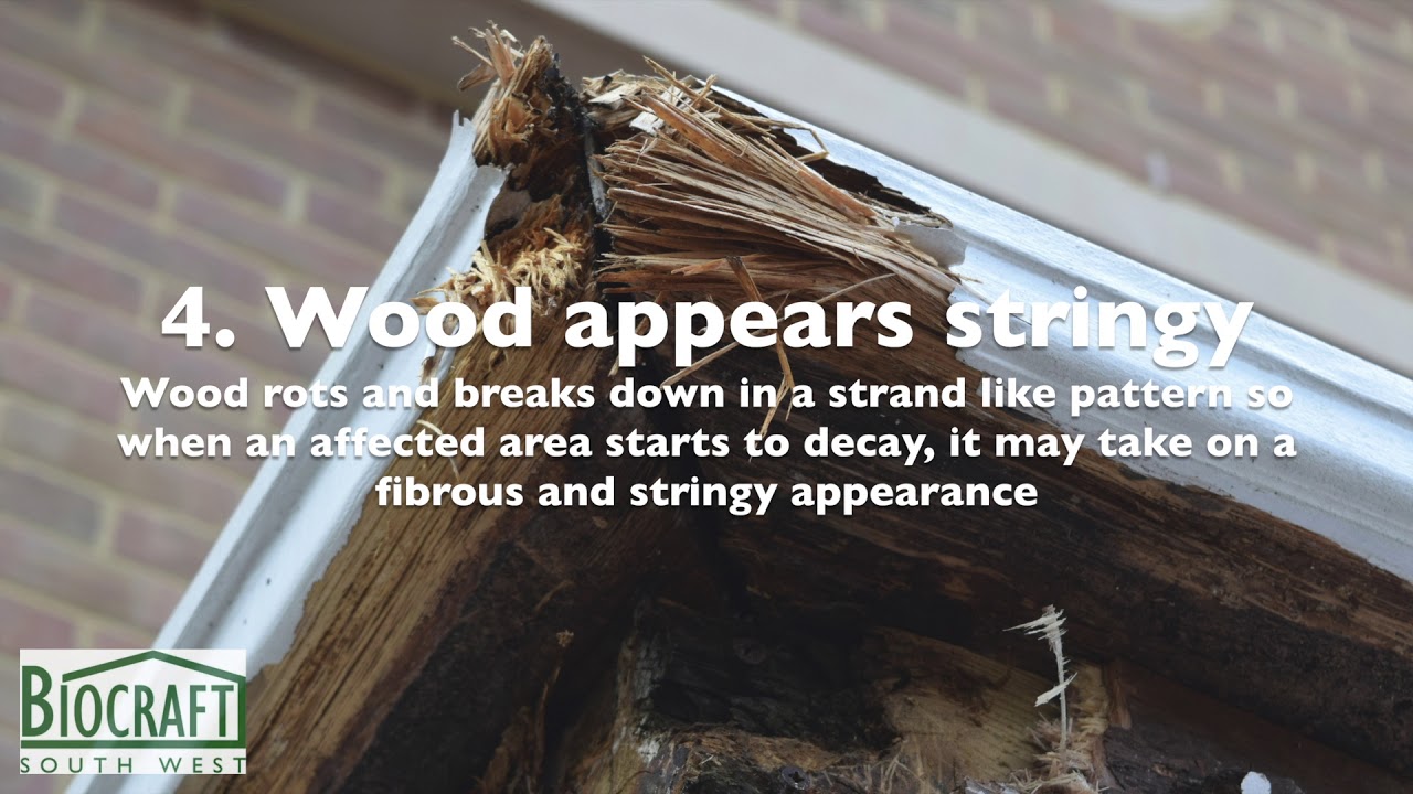 5 Signs You May Have Wet Rot - YouTube