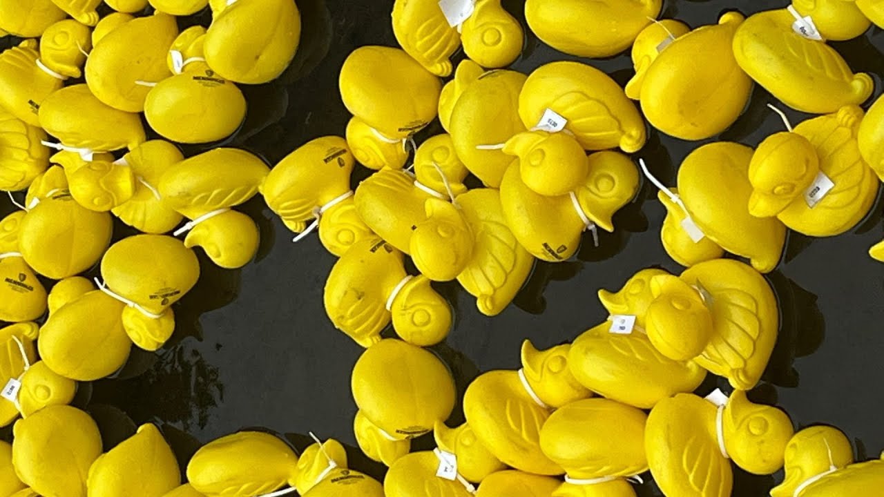 Entenrennen Memmingen 2022 - Gelbe Entchen auf dem Stadtbach - YouTube