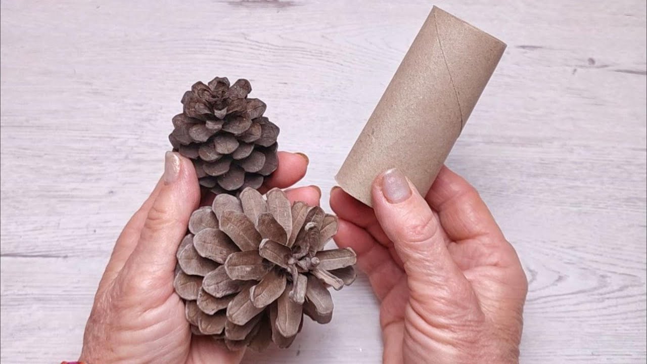 🎄🎁Look What I Made With 2 Pine Cones And 1 Toilet Paper Roll! DIY ♻️ 3🔝 ...