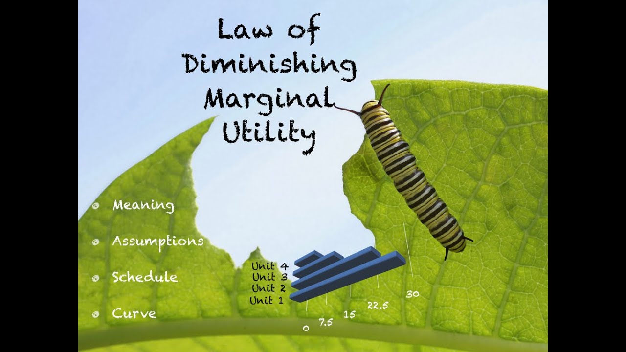 Ch 3 | TR Jain & VK Ohri | Diminishing Marginal Utility ...