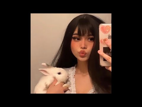 Bunny girl Lyrics (By 1nonly) - YouTube