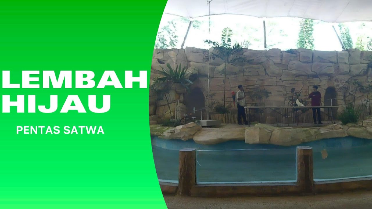 LIBURAN DI LEMBAH HIJAU PENTAS SATWA 2025 LAMPUNG - YouTube