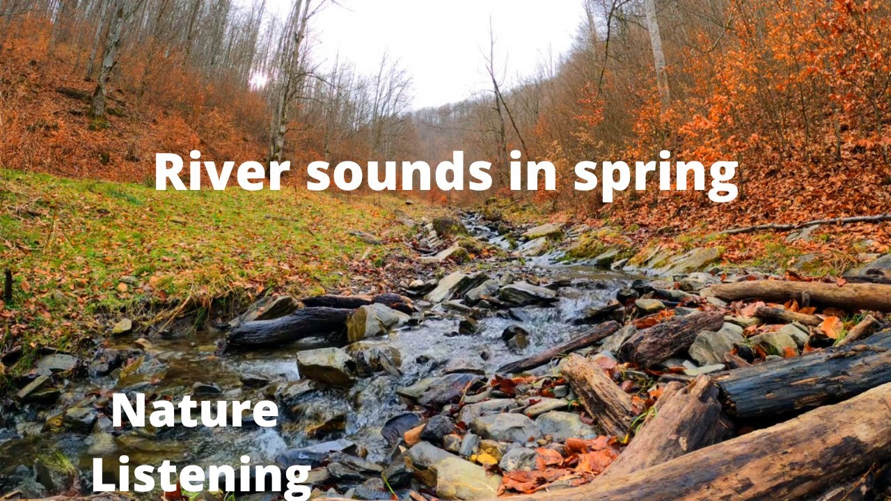 Relaxing Sounds - Shallow Water Flowing - YouTube