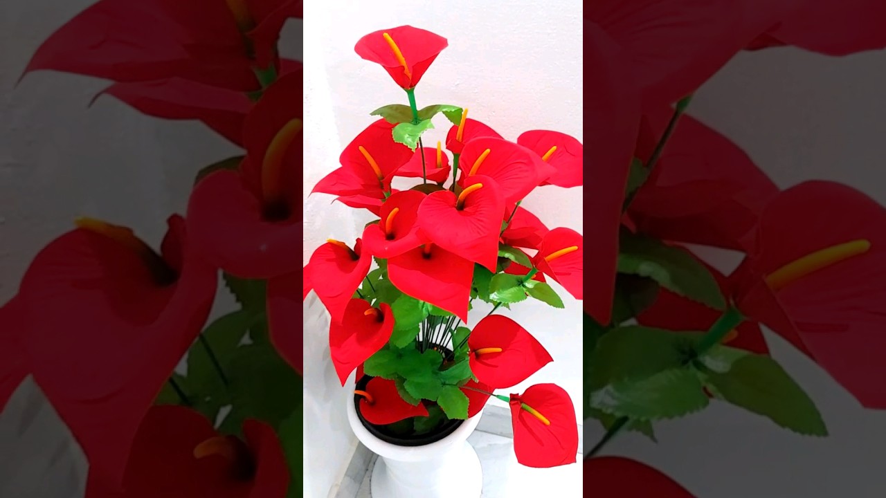 Photography 🥰 Flower home design 💙#viral #shorts #photography #viral ...