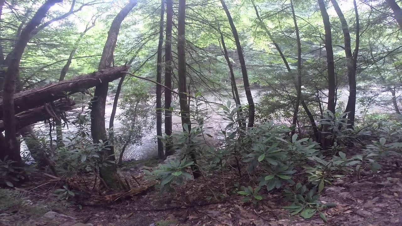 Hiking the Meadow Run Trail - YouTube