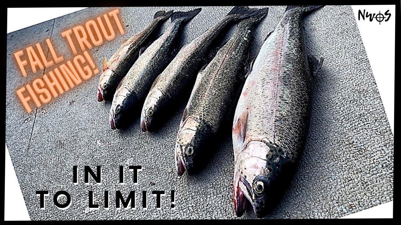 Fall Trout Fishing on Fire | Fishing the Oregon Cascades - YouTube