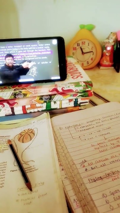 Yad Rakhna Jitna Padh Kar Ke Nahi Sikho Ge Utna Dhoka Khake Sikhoge Sadstatus🥲 Youtube