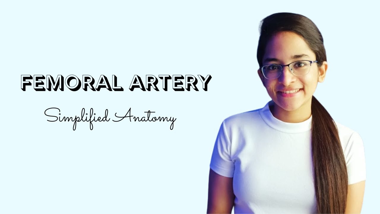 Easy Notes On Femoral Arterylearn In Just 4 Minutes Genicular Artery