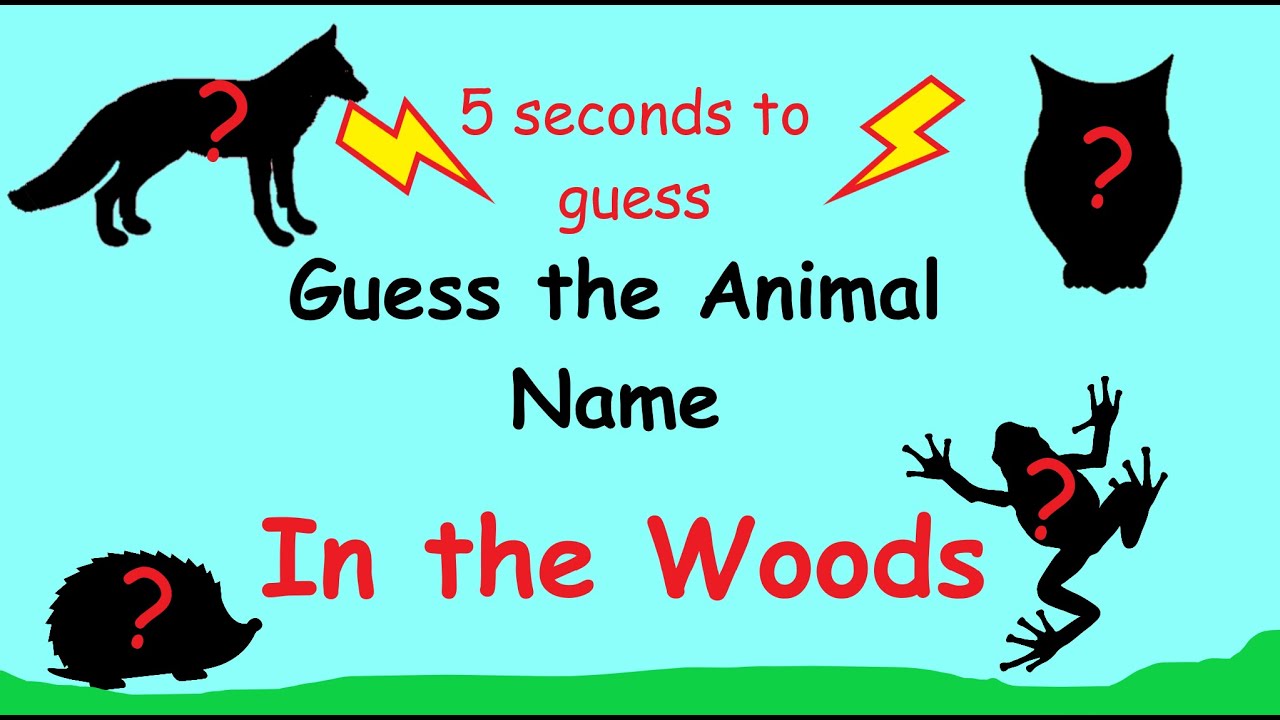 Guess the Animal Name, Woodland Animals - YouTube