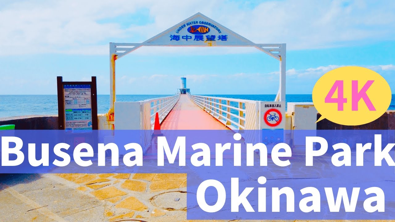 【4K】Busena Marine Park, Okinawa, Japan | ブセナ海中公園（海中展望台）,沖縄 - YouTube