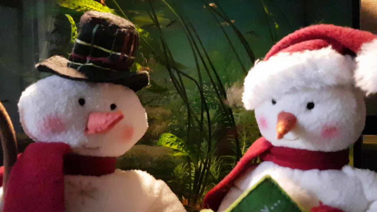 Christmas carolers snowmen singing We wish you a merry Christmas - YouTube