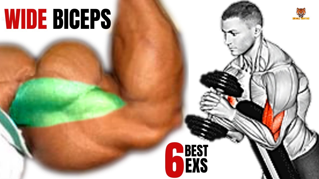 6 BEST BICEPS SHORT HEAD WORKOUT AT GYM / Musculation portion courte ...