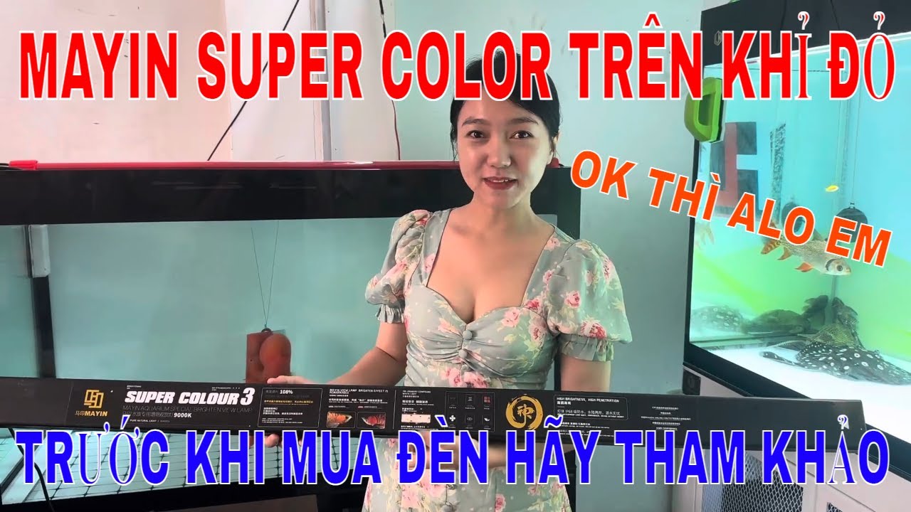 🔴PHUKIENCARONG.VN | Mayin Super Color 3 đánh cho KHỈ ĐỎ sẽ ra sao ...