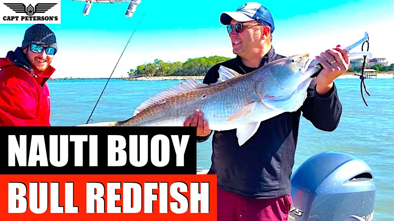 Bull Red Fish - St George Island, FL - YouTube