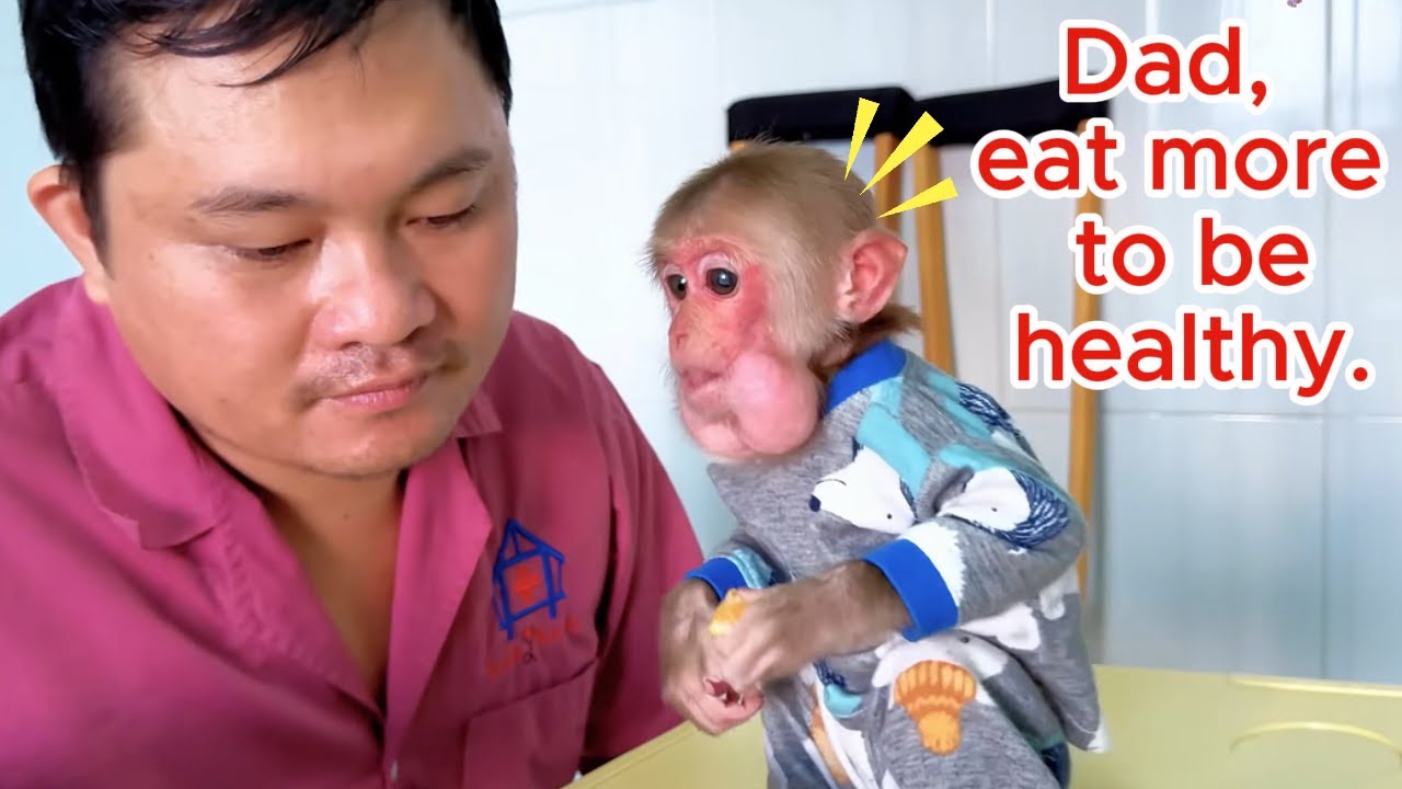 Baby Monkey Kyo often visits Dad in the hospital. She is so cute and loves Dad - YouTube