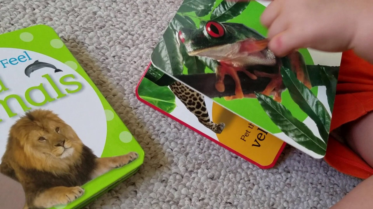 Dominic reading his "Animal Library" Touch and Feel Books - YouTube