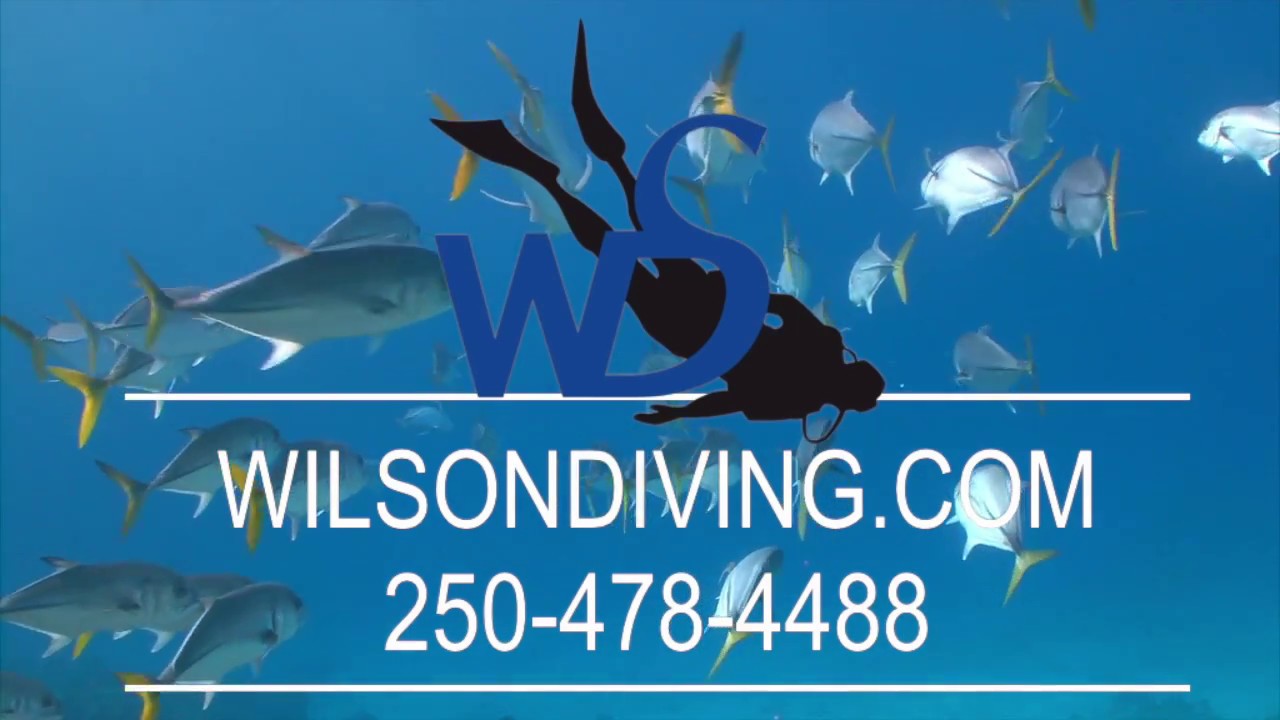 Wilson Diving Victoria - YouTube